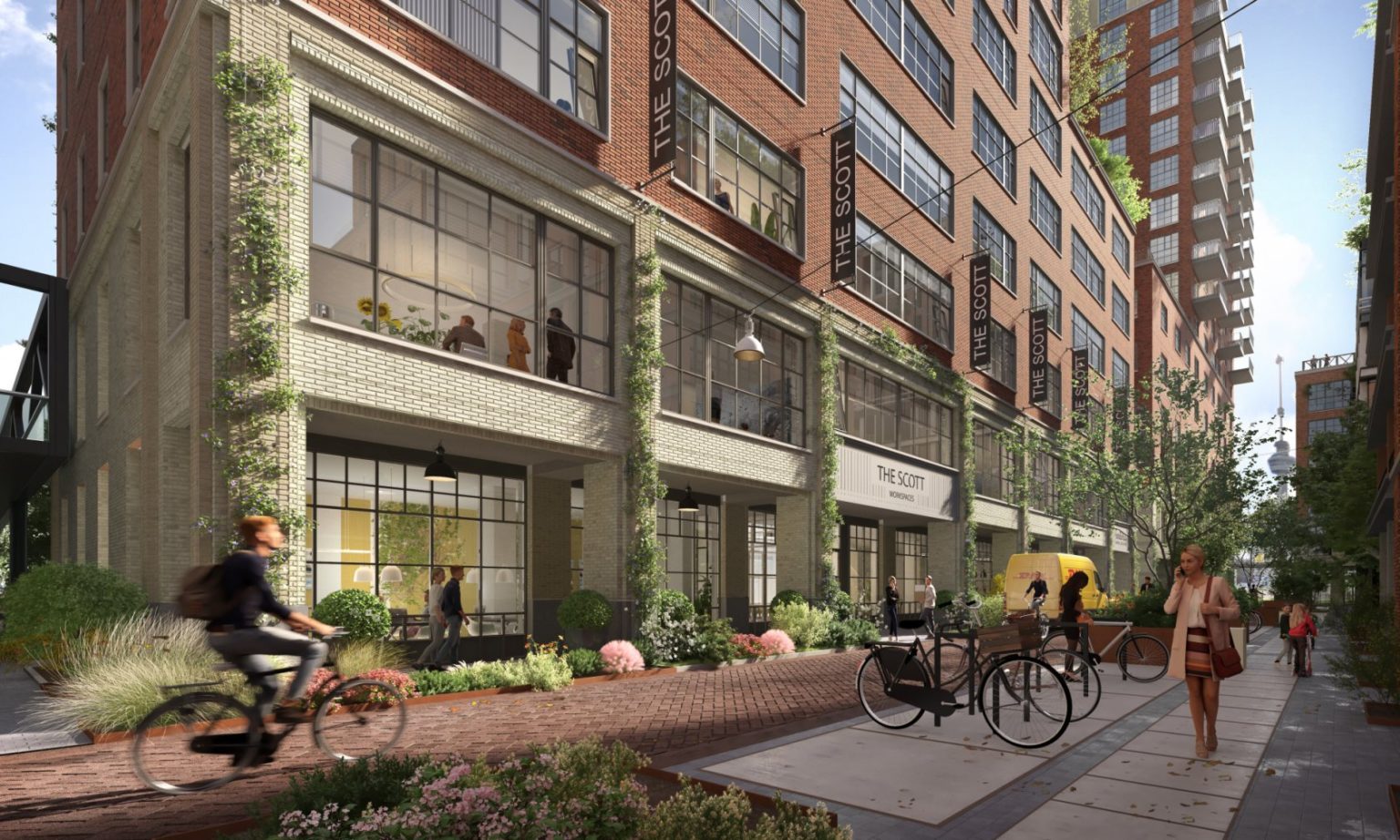 Little C - Hoogendoorn